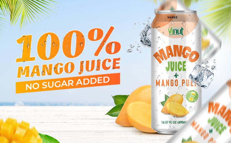 Enjoy Vinut 100% Real Mango Juice with Pulp - 16.57 FL OZ
